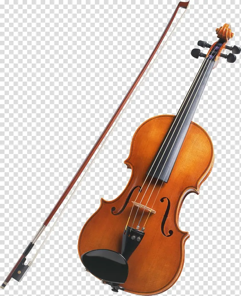 Origen Y Técnicas De Los Violinistas Indios: Una Mirada Al Violín Sin ...